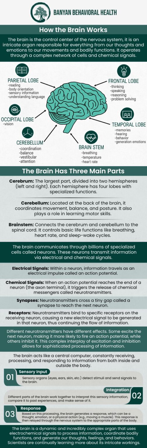 Brain Injury Treatment Near Me in Burlingame, CA